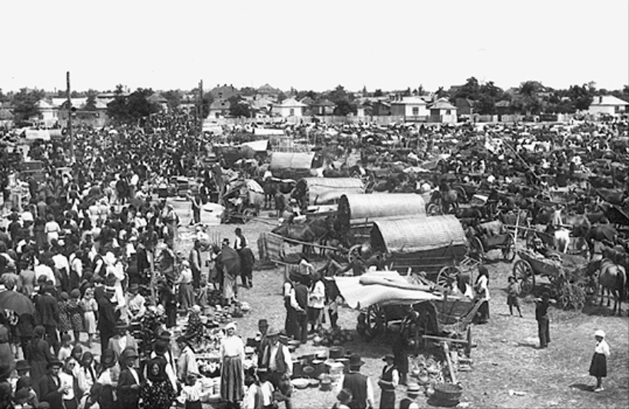 Târgurile de animale. Cele mai aşteptate evenimente de profil | TARC.ro